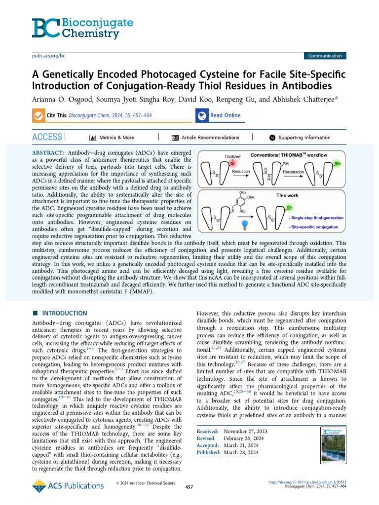 Photocaged Cysteine for Antibody Conjugation | PDF | Cysteine | Amino Acid