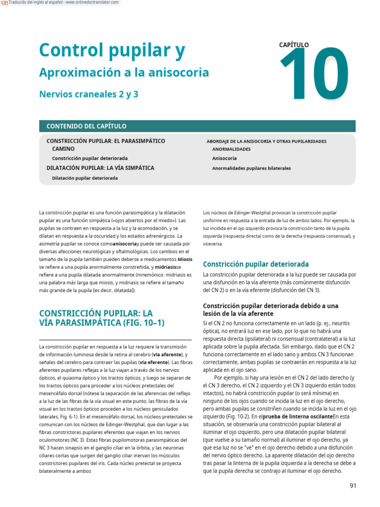 Anisocoria Clinical 2 | PDF | Sistema nervioso | Anatomía humana