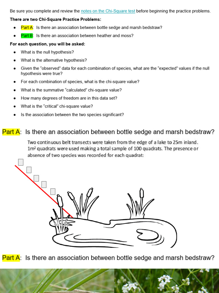 Chi Square Practice Problems | PDF