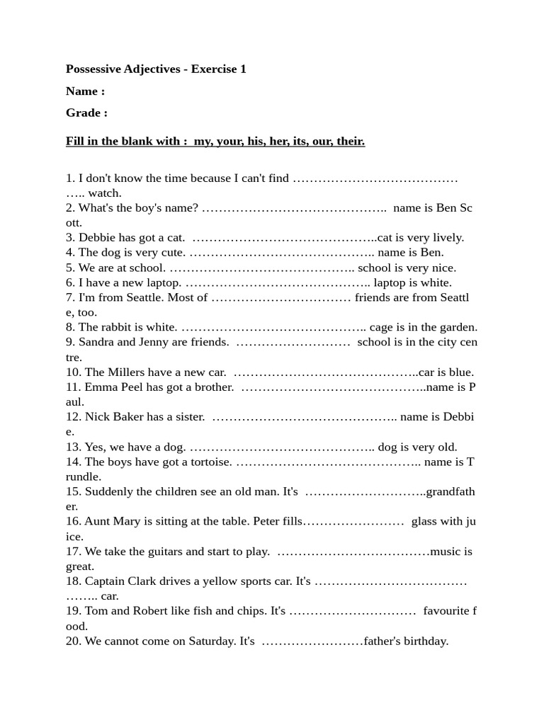 Possessive Adjectives Exercise Worksheet | PDF