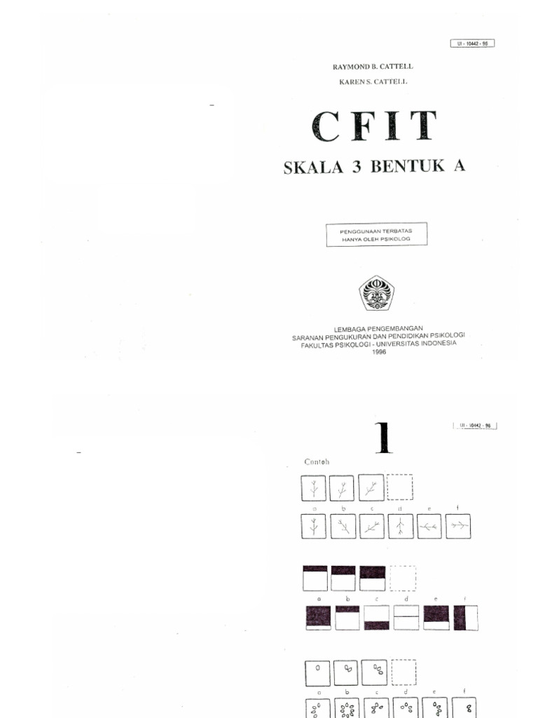 Lembar Soal Tes Cfit | PDF