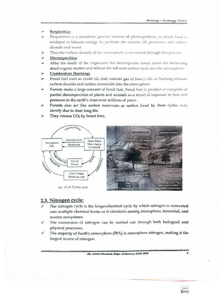 Bio Geo Chemical Cycle Lec2 | PDF