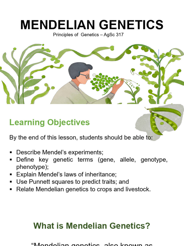 Understanding Mendelian Genetics Principles | PDF | Dominance (Genetics ...
