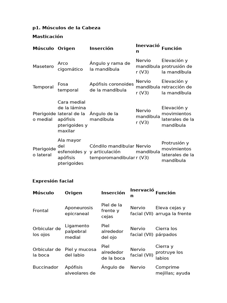 Caneza | PDF | Anatomía humana | Anatomía de los primates