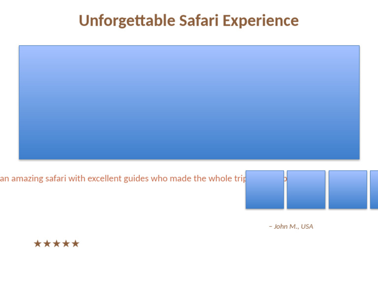 Safari Review Mockup | PDF