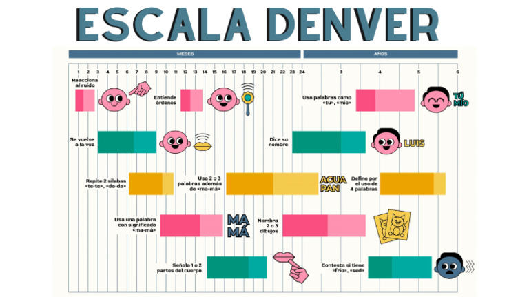 Test de Denver | PDF
