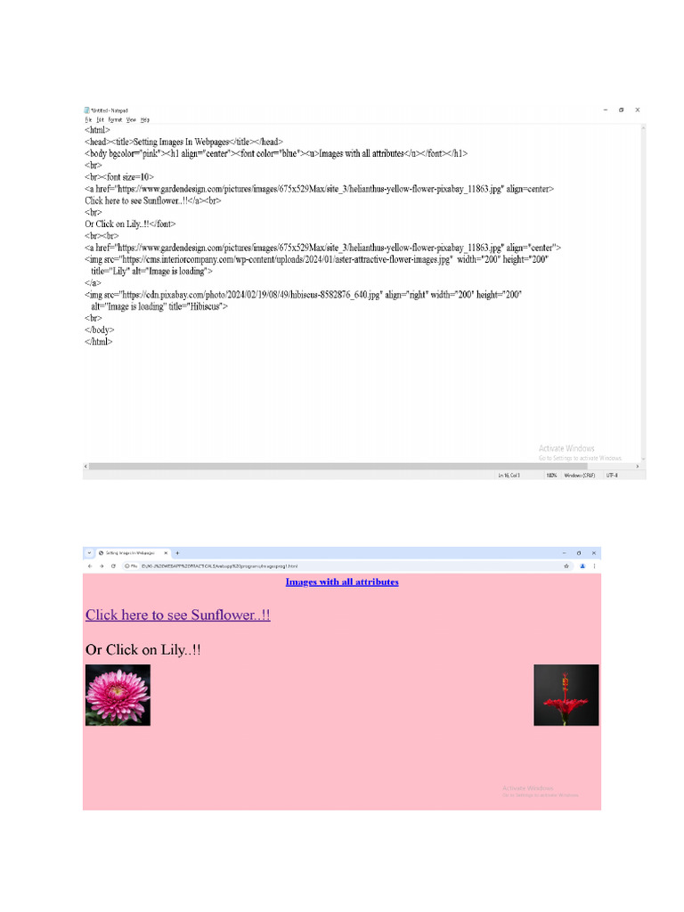 Xi Web Application Practical File | PDF