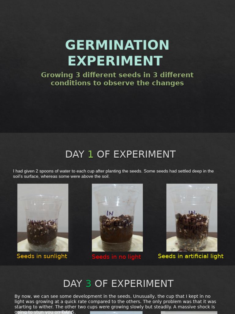 Bio Germination Experiment | PDF