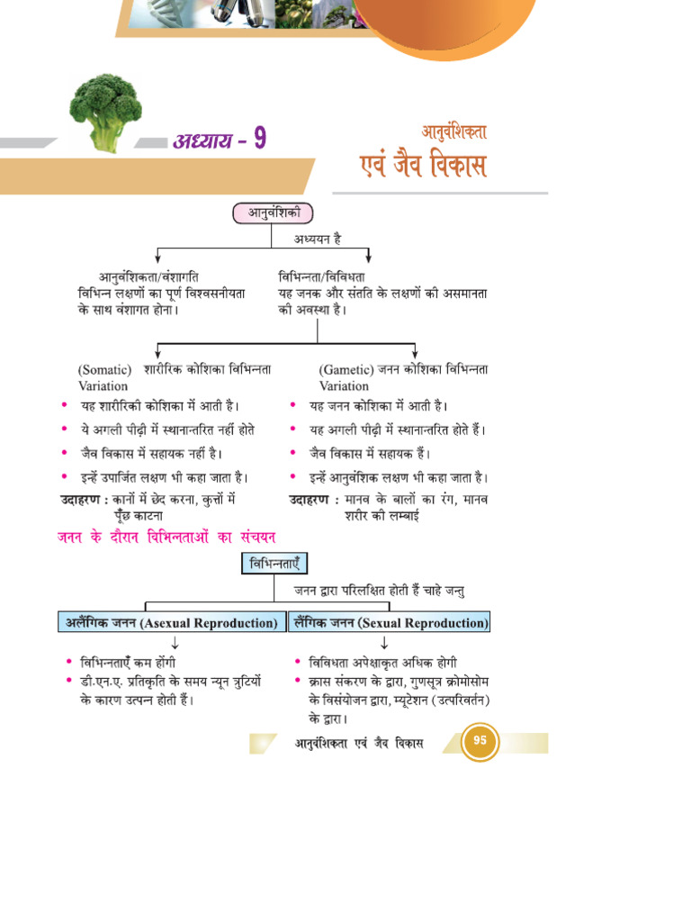 Chapter 9 Science | PDF