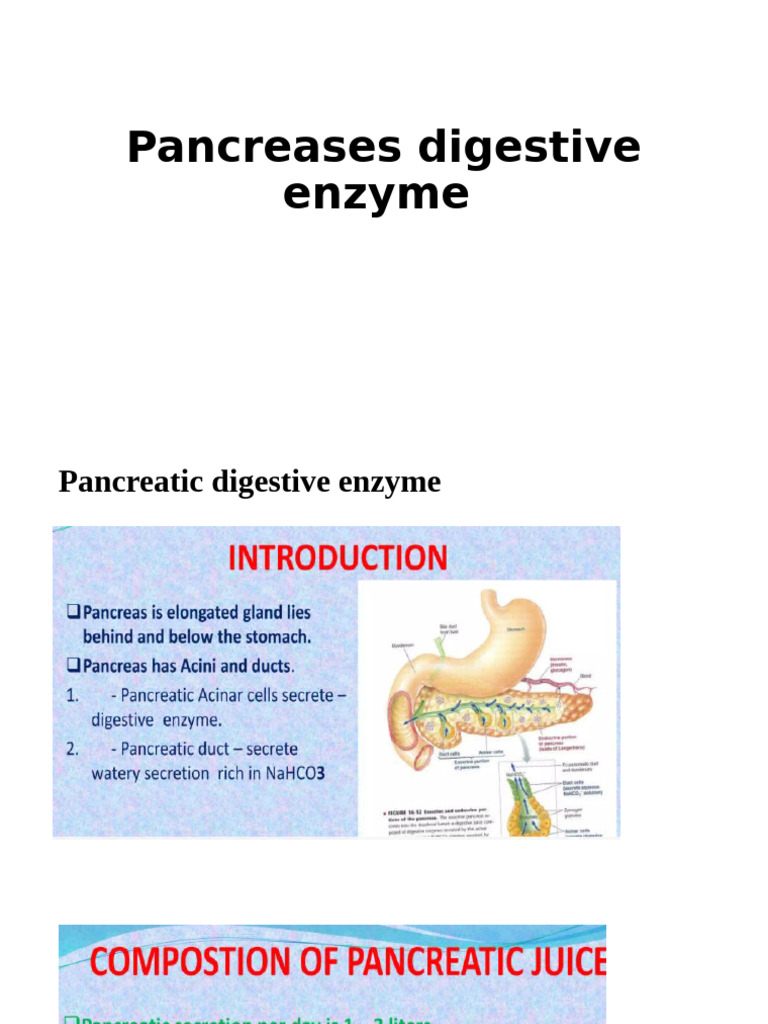 Pancreatic Enzymes and Nucleotide Digestion | PDF | Insulin | Glycogen