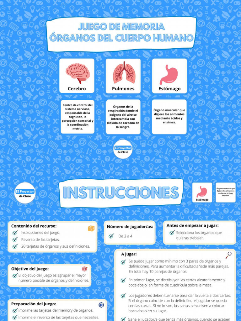 Cuerpo Humano Memorama | PDF