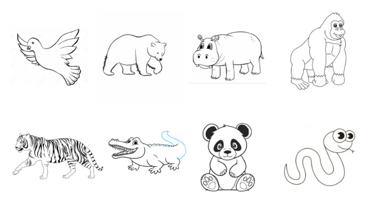 FF Starters U6 - Animals Coloring | PDF