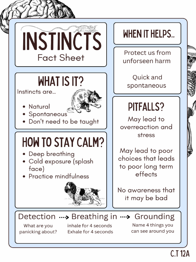 Unicorns Fact Sheet Reading Comprehension Activities in An Orange ...