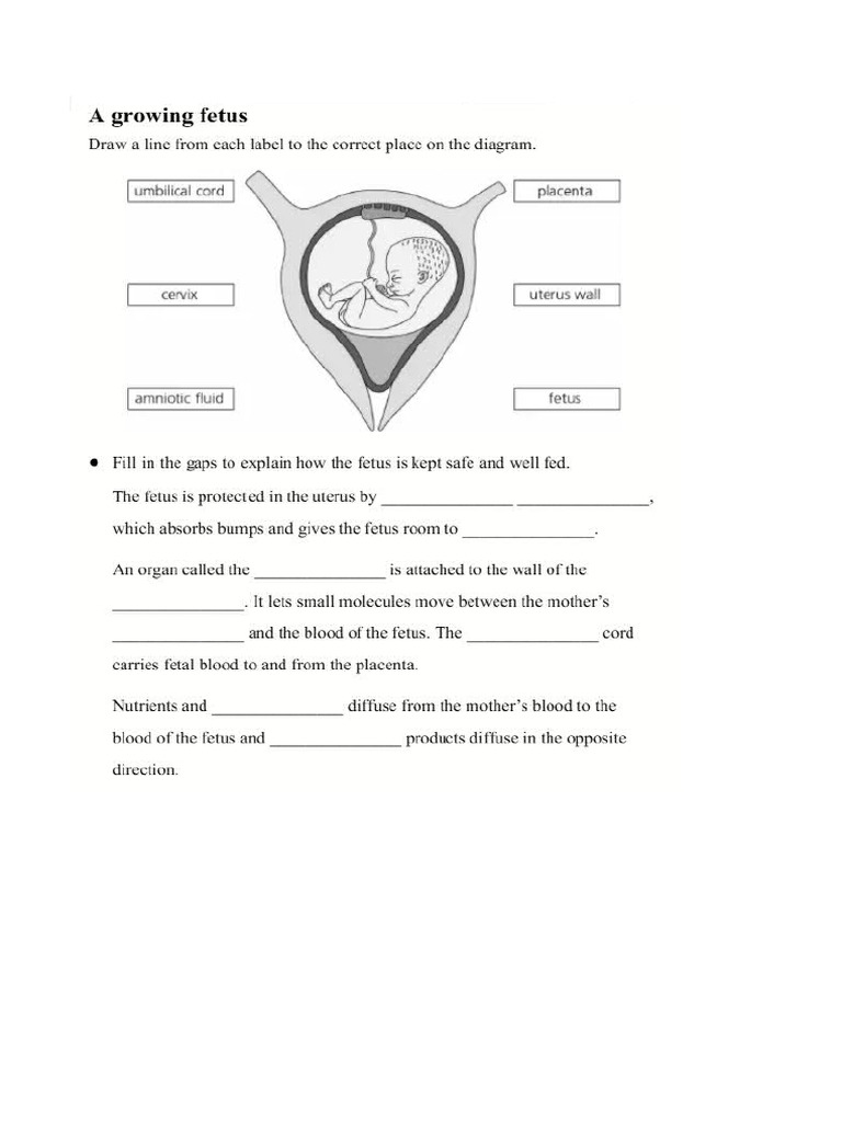 IGCSE Questions | PDF
