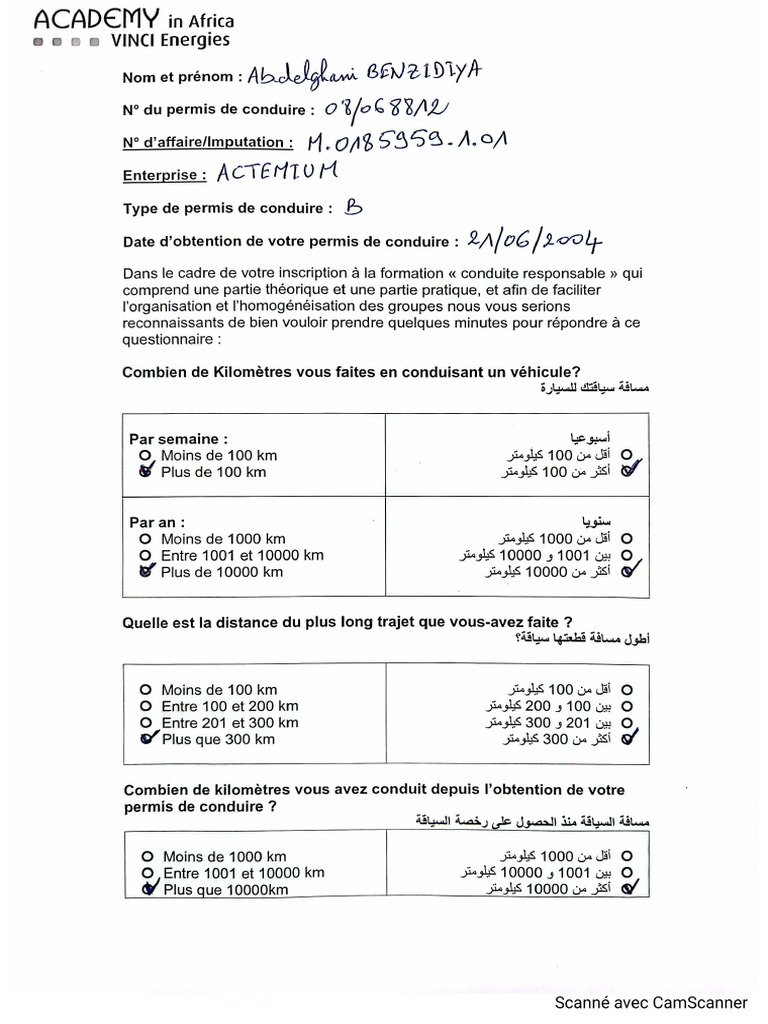 Questionnaire | PDF