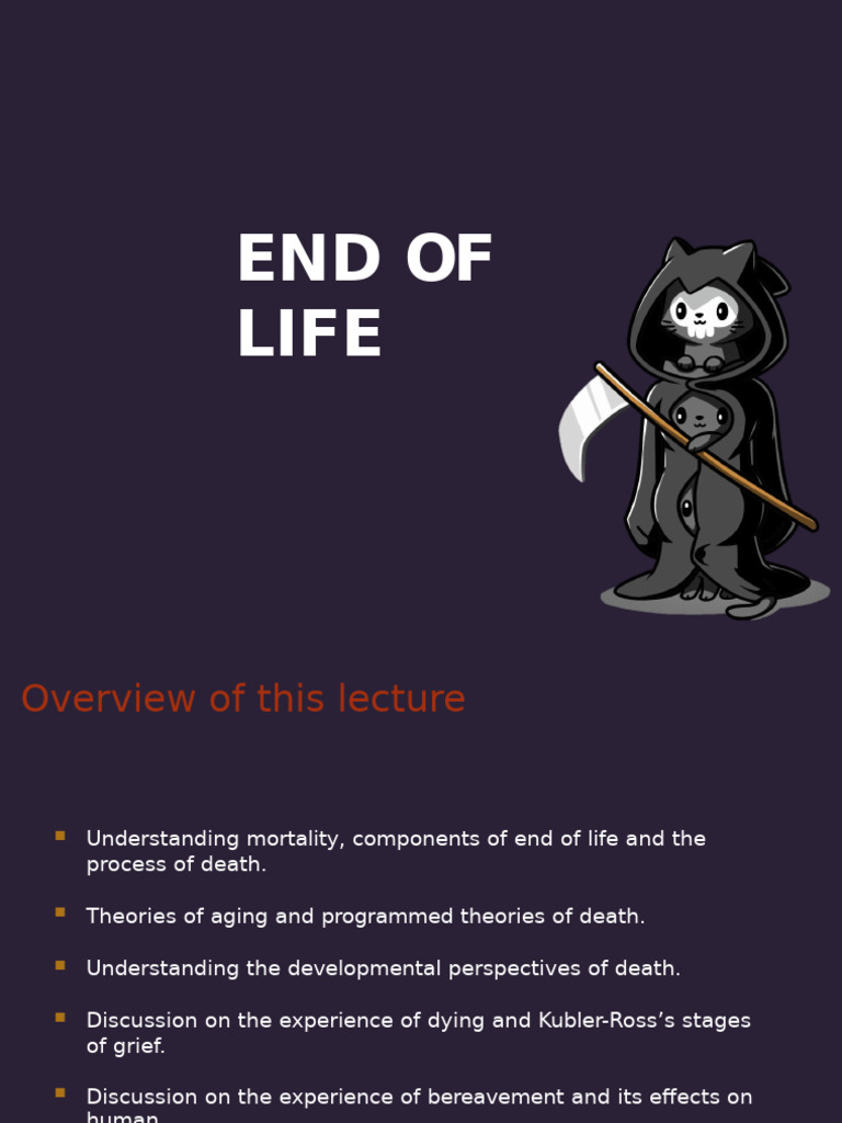 Dev Session 12 End of Life | PDF | Grief | Senescence