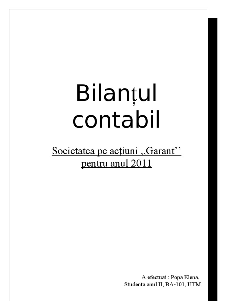 Bilant Contabil | PDF
