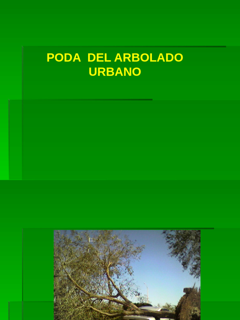 Poda Del Arbolado Urbano | PDF