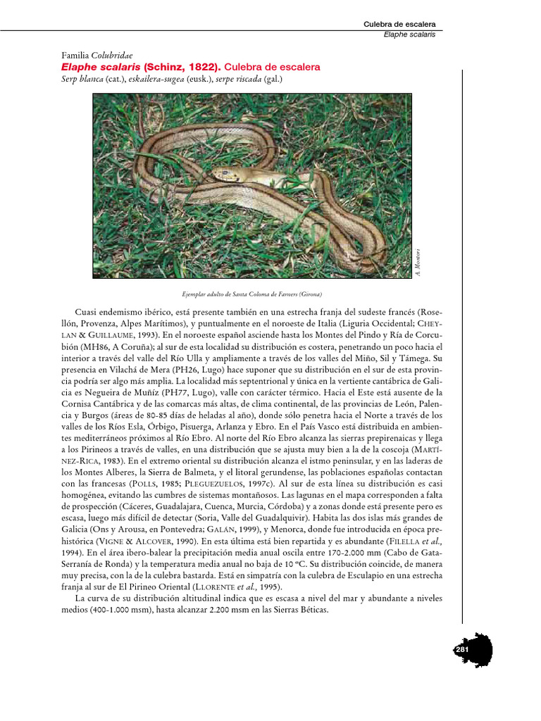 Culebra Escalera | PDF | España | Geografía Física