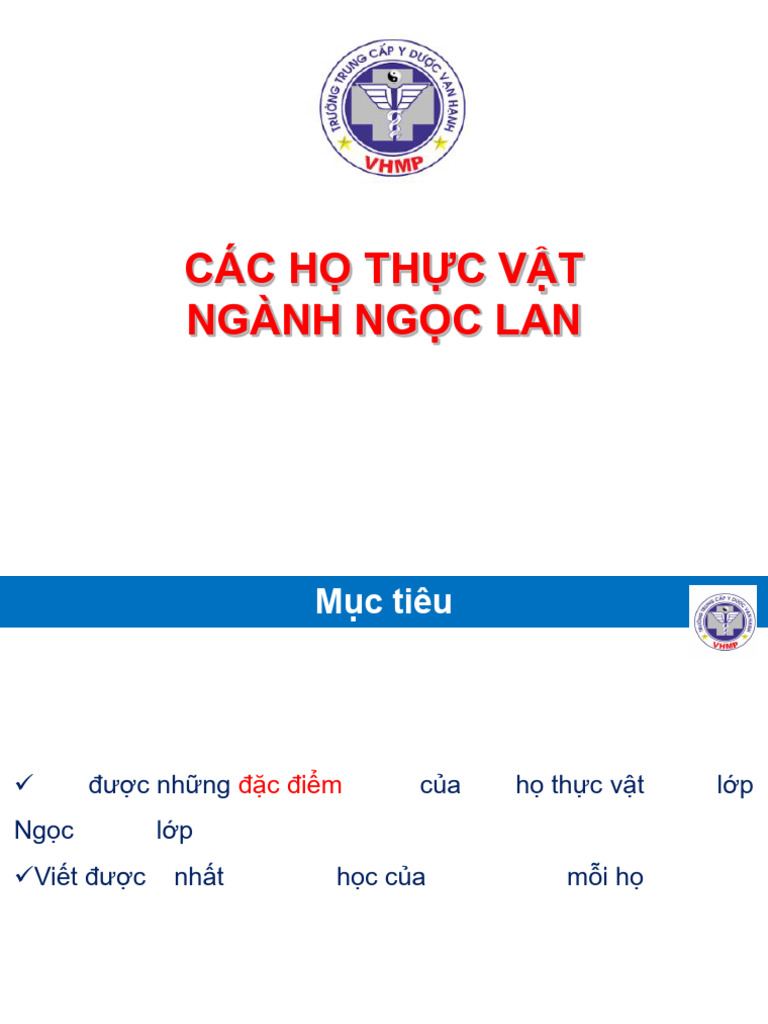 Bài 9 - Cac Ho Thuc Vat | PDF