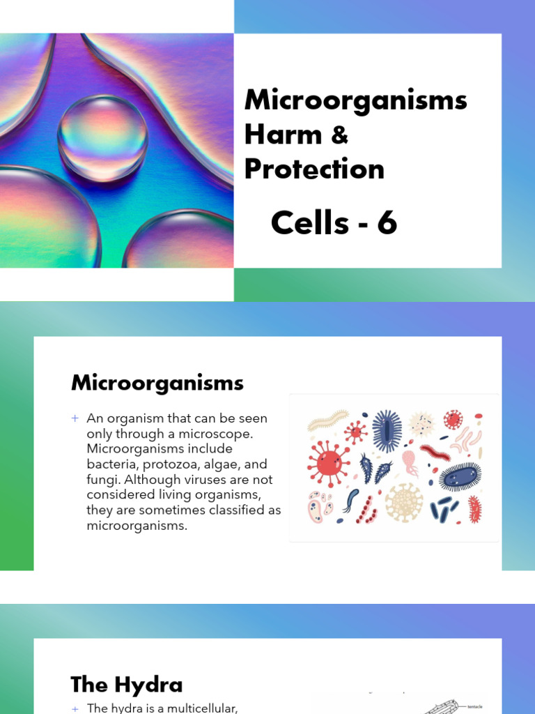 Edexcel Y7 Unit 1 Cells 6 | PDF | Microorganism | Pathogen