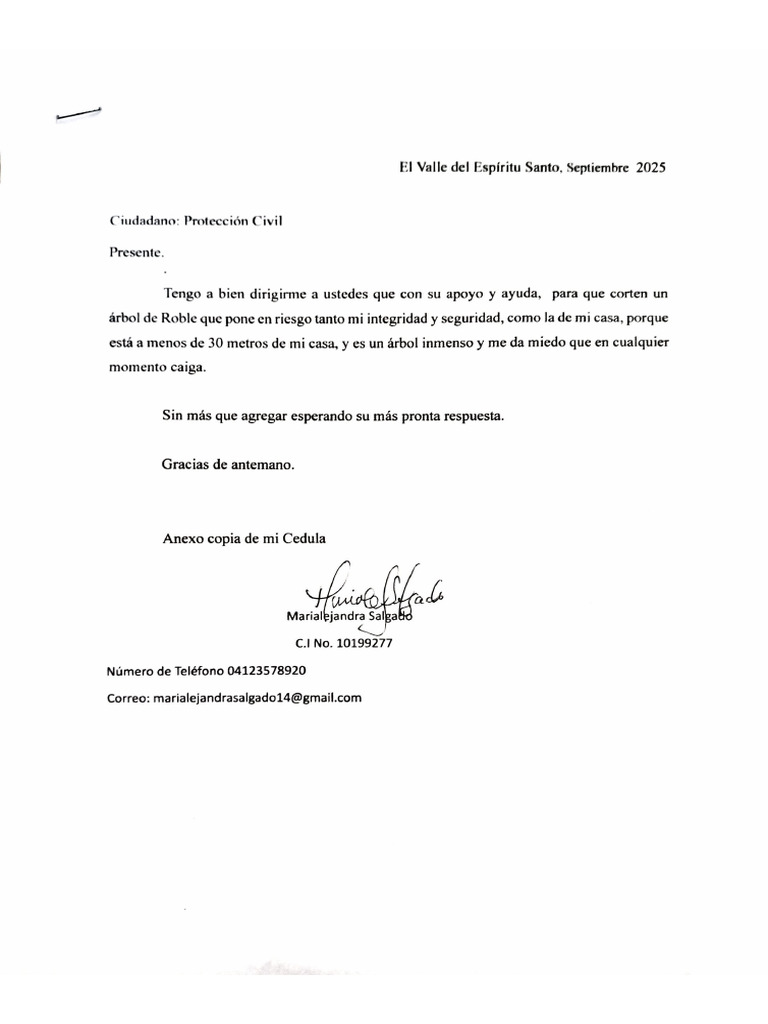 Árbol - Riesgo - Solicitud 25 09 2025 07 35 | PDF