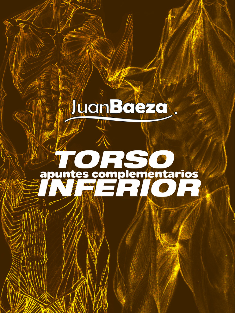 PDF Torso Hotmart | PDF