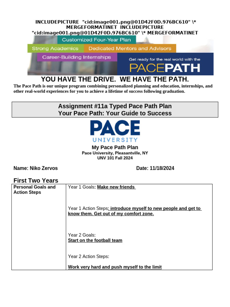 My Personalized Pace Path Plan | PDF | Mentorship