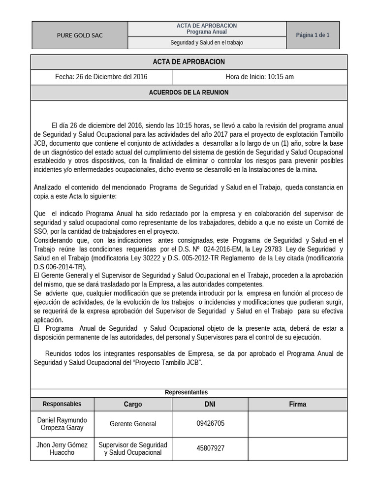 Acta de Aprobacion Del Programa Anual de Sso Pure | PDF | Seguridad y ...