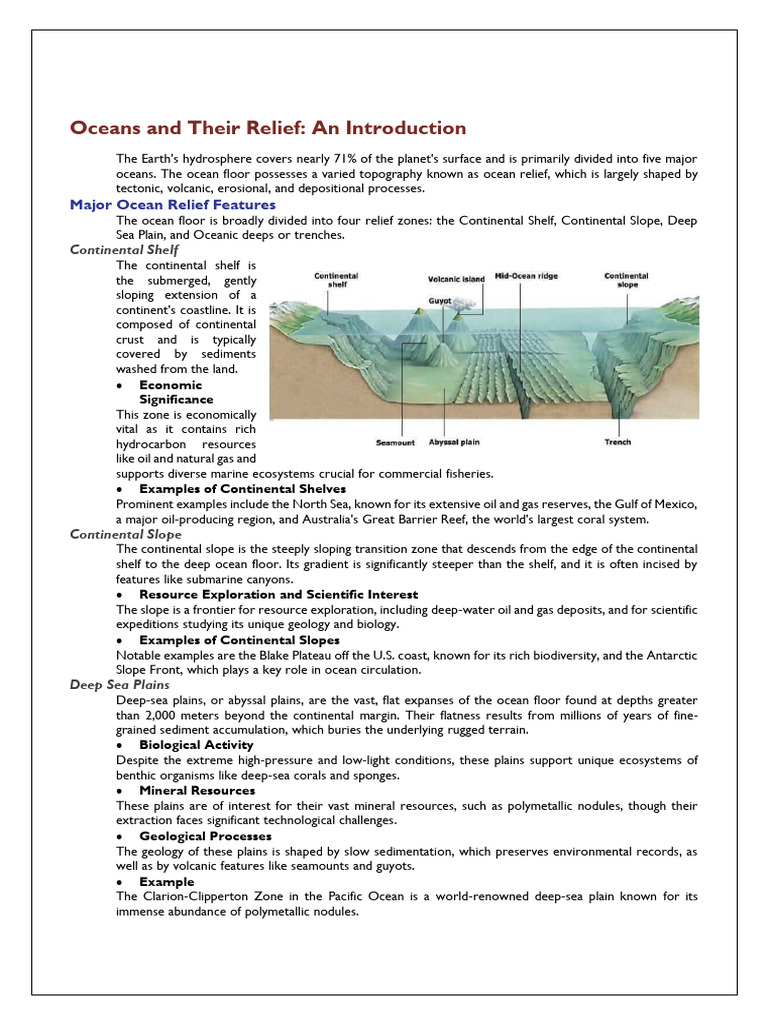 Ocean Relief Features and Properties | PDF | Tsunami | Dead Zone (Ecology)