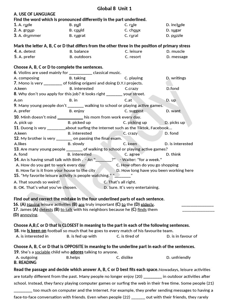 Language and Leisure Activities Unit 1 | PDF | Vietnam | Internet