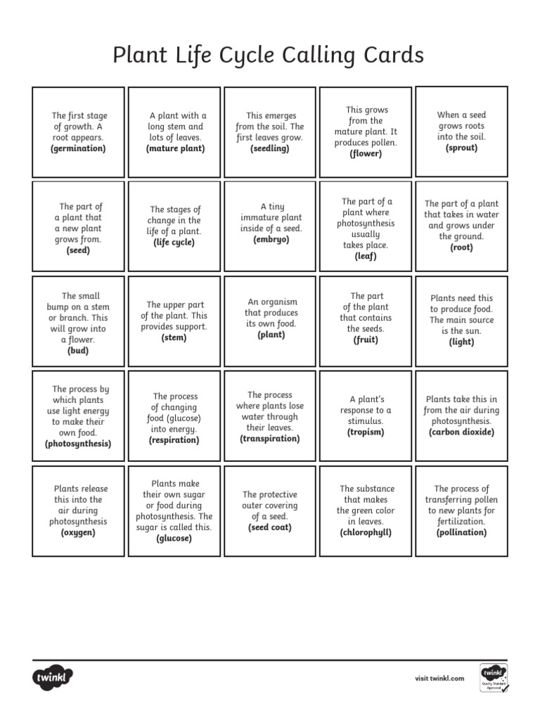 BW Calling Cards Plant Life Cycle Bingo For 3rd-5th Grade | PDF ...