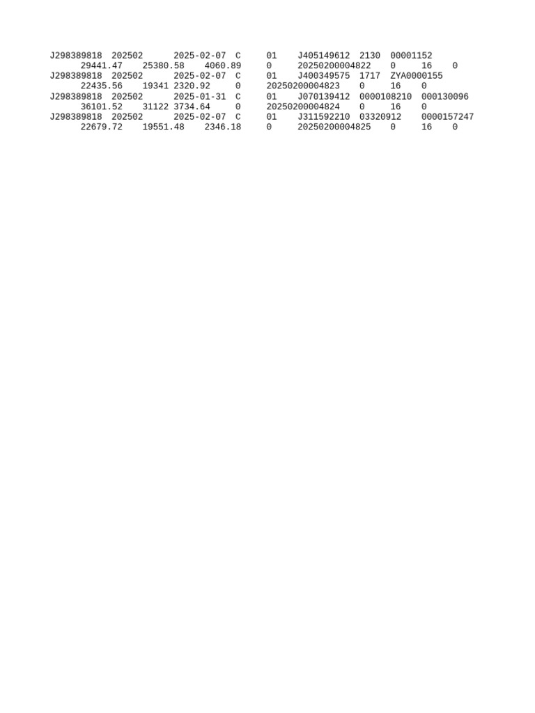 Financial Data Summary 2025 | PDF