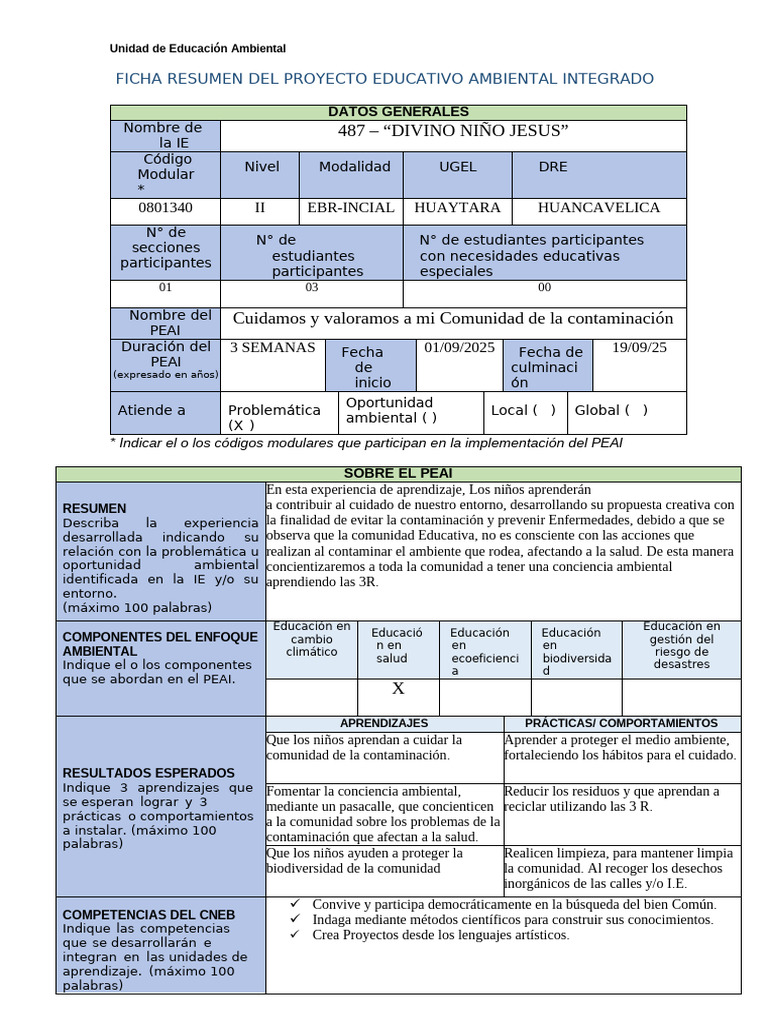 Ficha de Resumen I.e.n°487 2025 | PDF | Residuos | Reciclaje