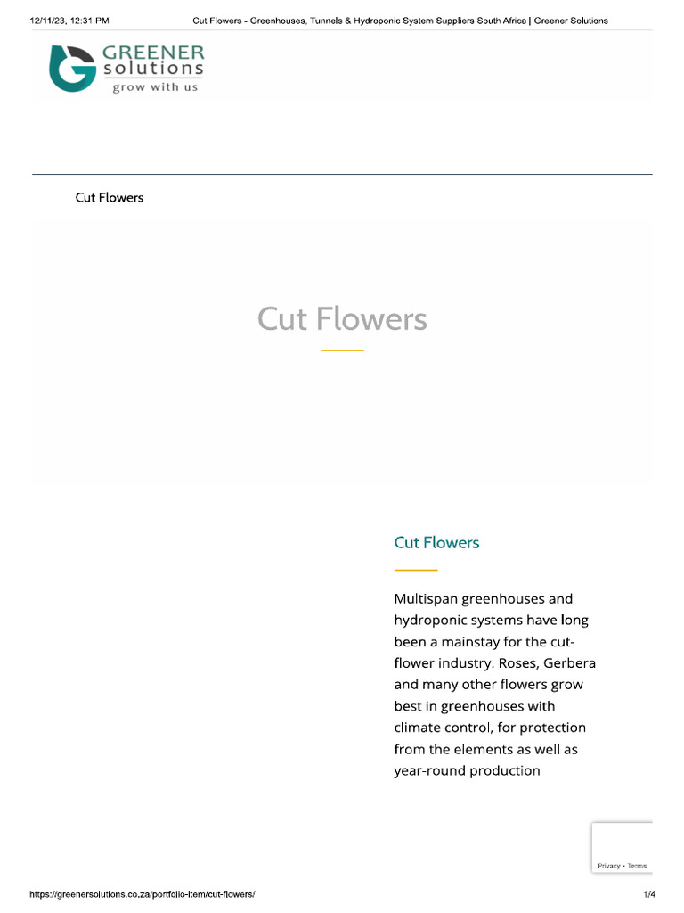 Cut Flowers | PDF