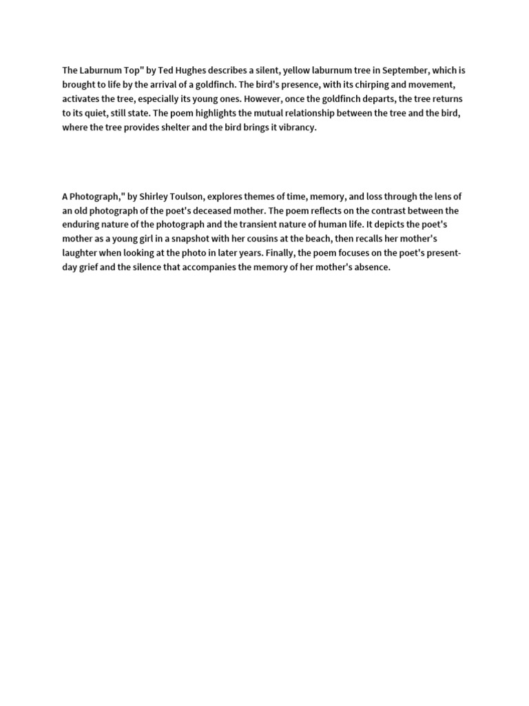 Poem Summary-WPS Office | PDF