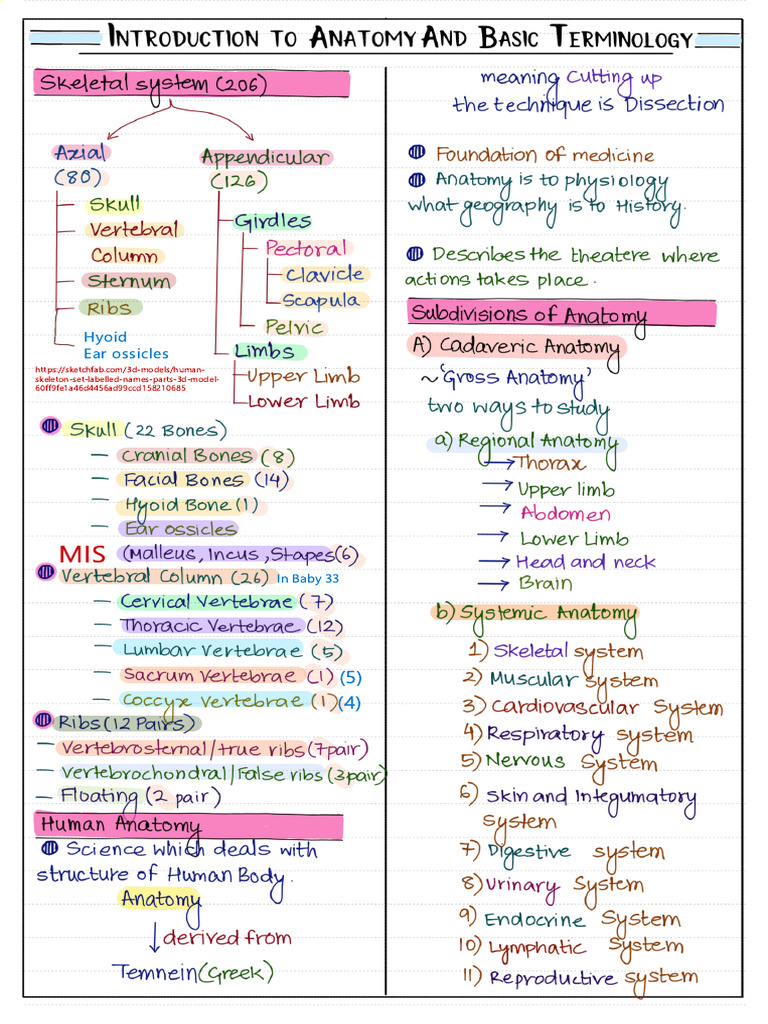 Day - 1 Introduction To Anatomy and Basic Terminology | PDF