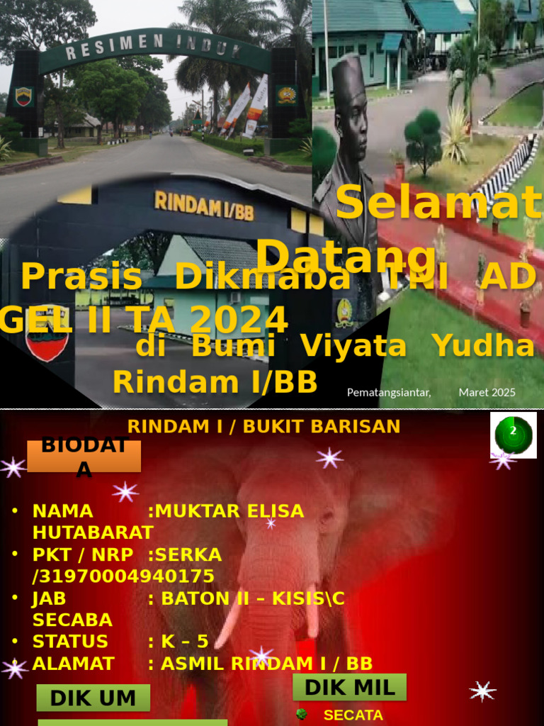 Perang Gerilya - Induk | PDF