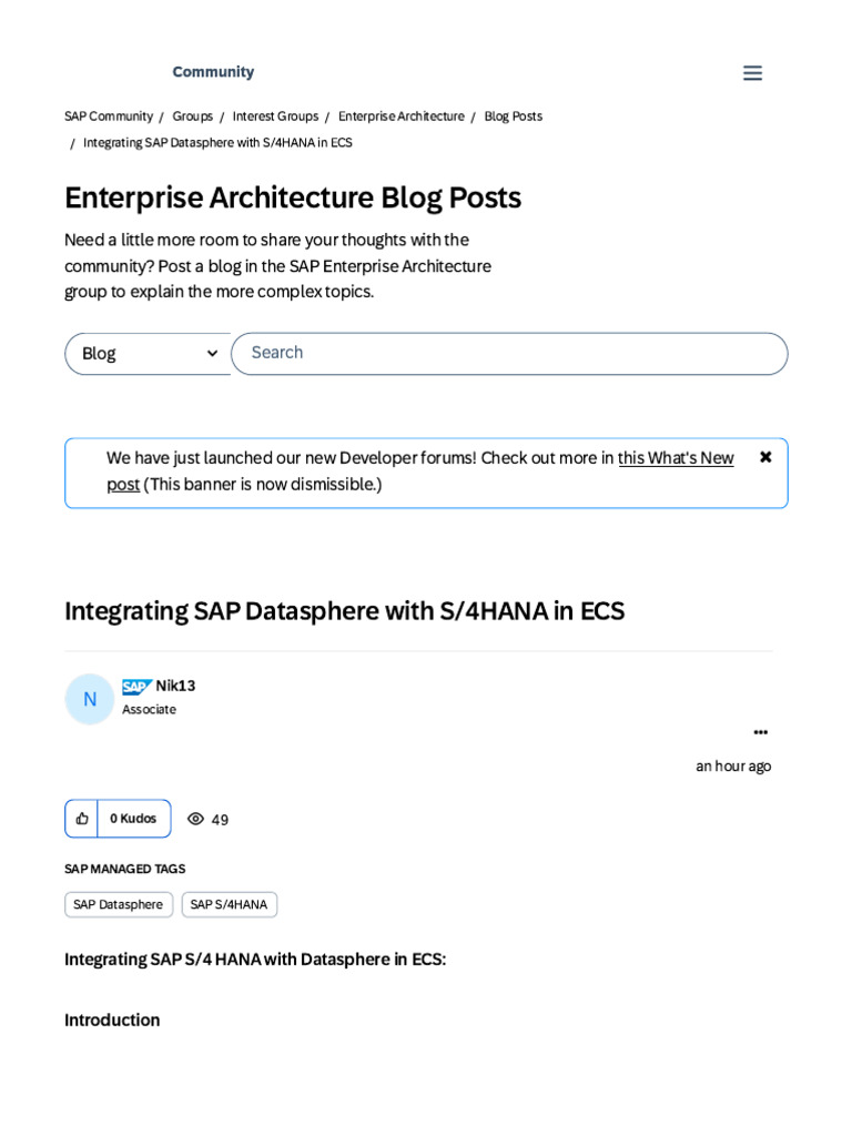 Integrating SAP Datasphere With S - 4HANA in ECS - SAP Community | PDF