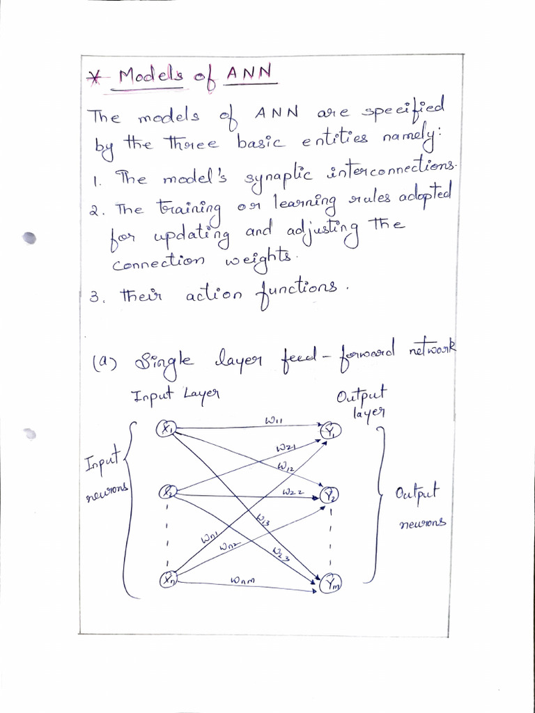 Scis Notes | PDF