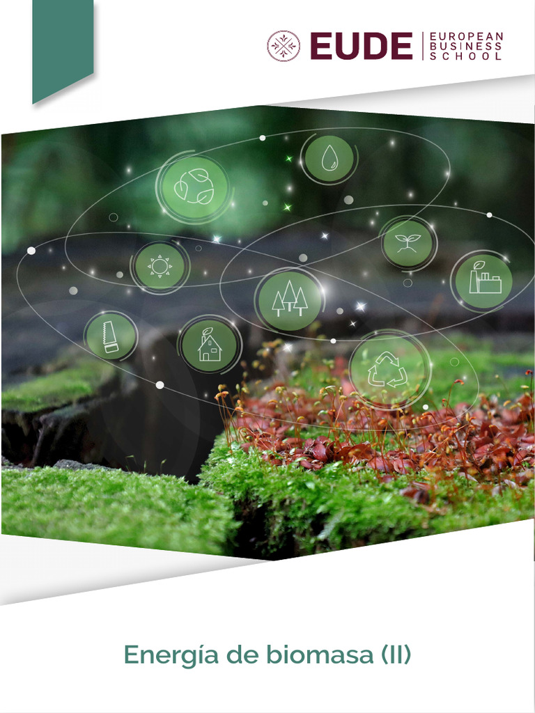 Ebook Biomasa (II) | PDF | Incineración | Residuos