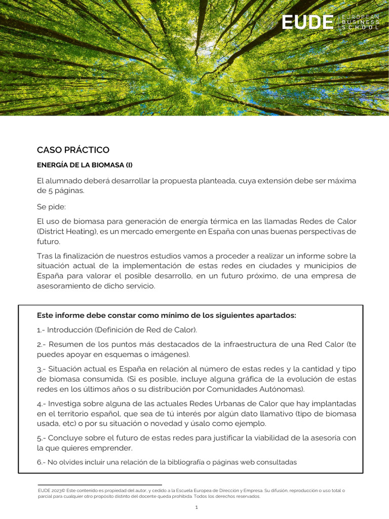 Caso - Energía de La Biomasa (I) | PDF