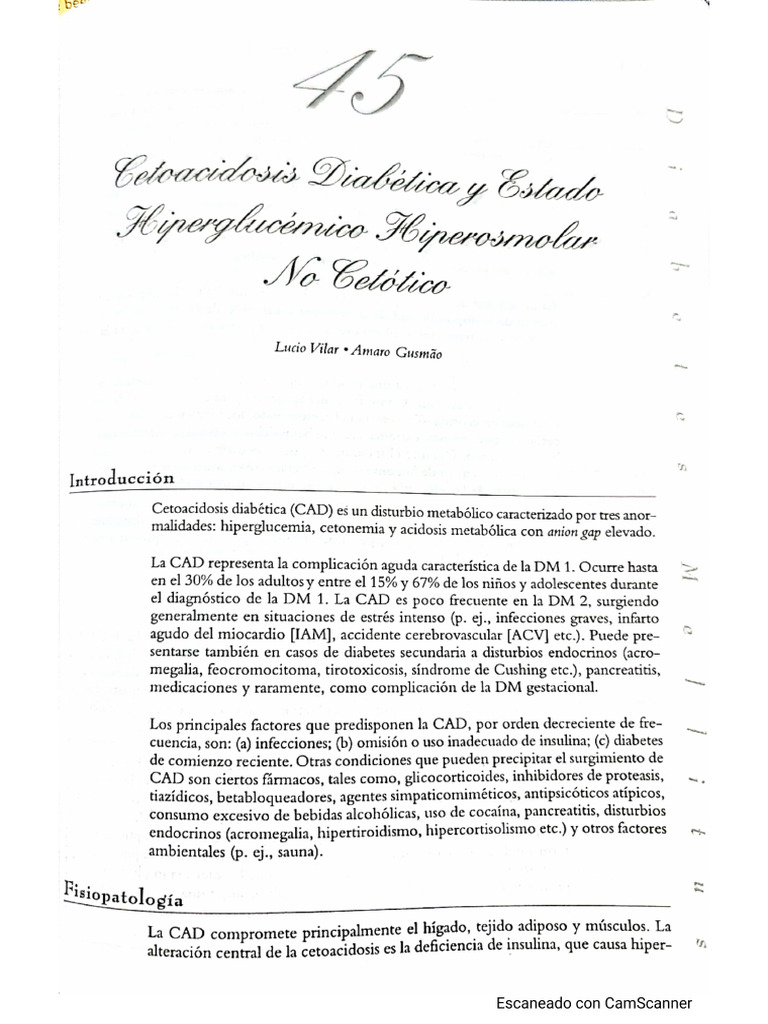 Cetoac. Bloise | PDF