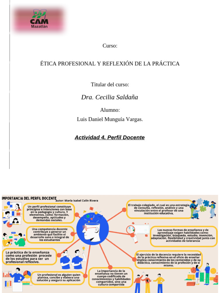 Perfil Docente | PDF | Maestros | Aprendizaje