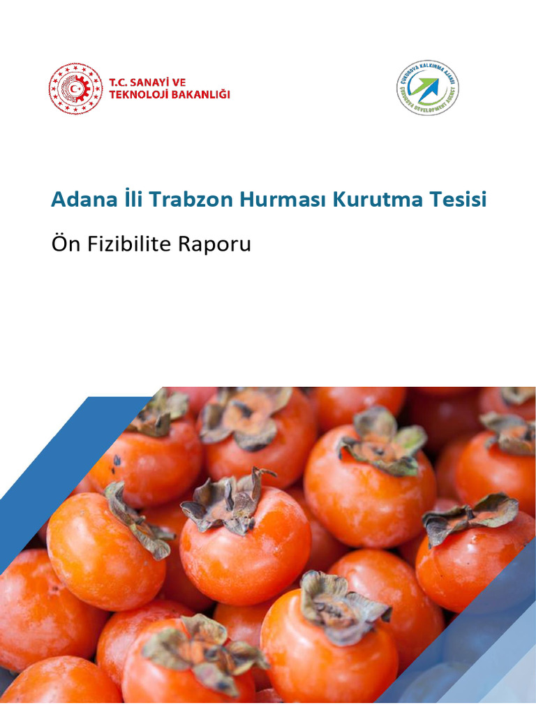 Adana Ili Trabzon Hurmasi Kurutma Tesisi On Fizibilite Raporu | PDF