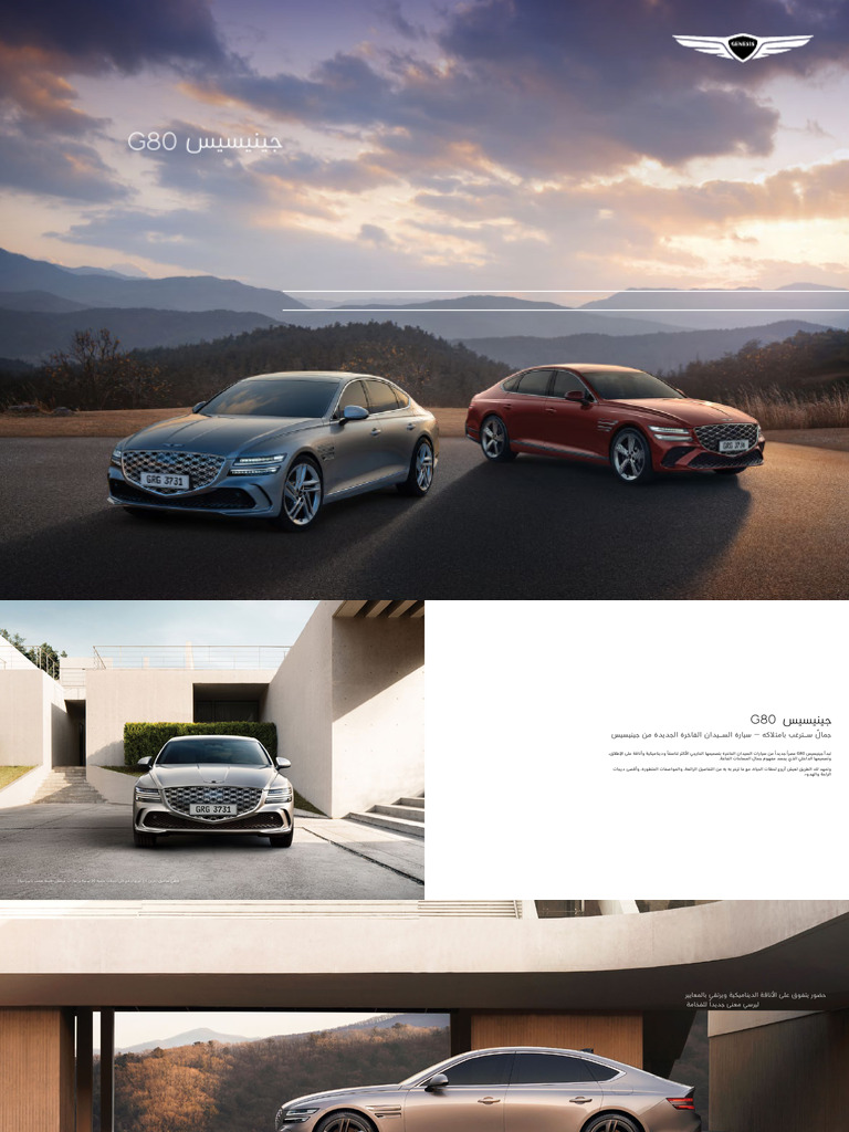Genesis Rg3 g80 FL Brochure Ar LR | PDF