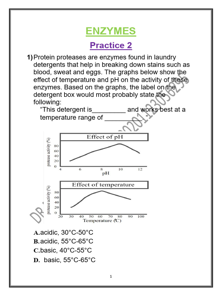 Enzyme Activity in Digestion Experiments | PDF | Enzyme | Photosynthesis