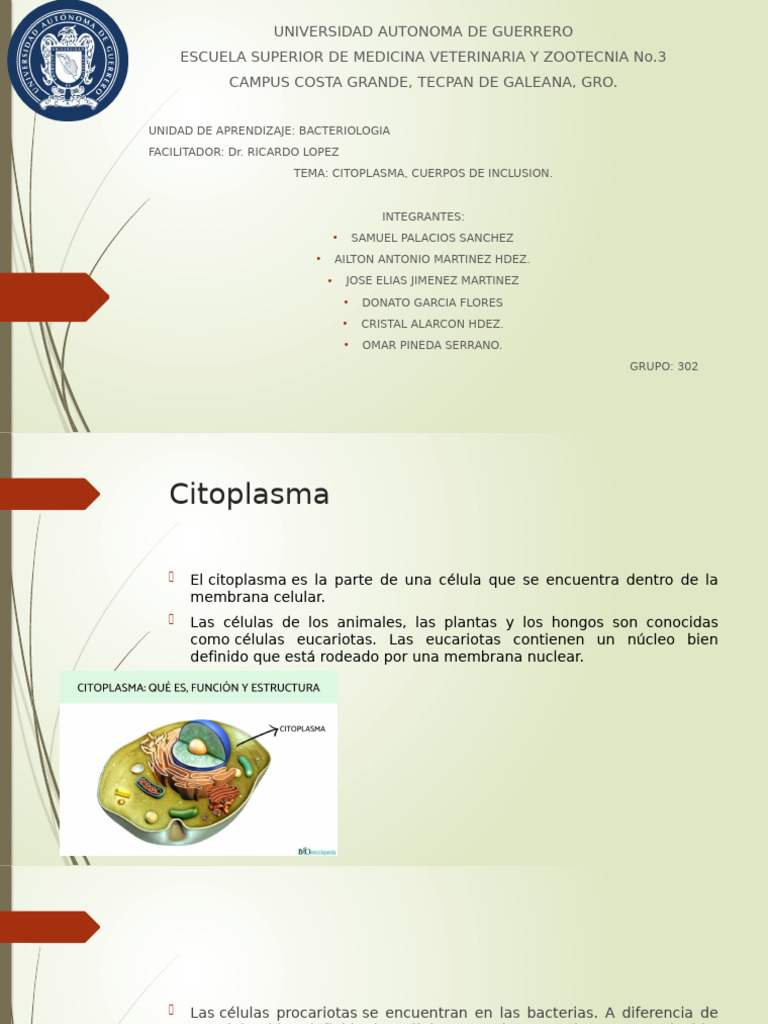 Cito Plasma | PDF | Citoplasma | Biología Celular)