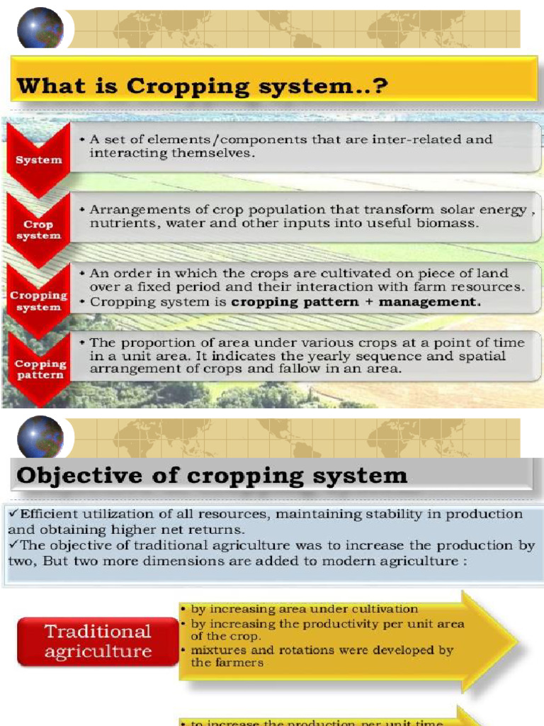 Understanding Cropping Systems and Interactions | PDF | Maize | Leaf