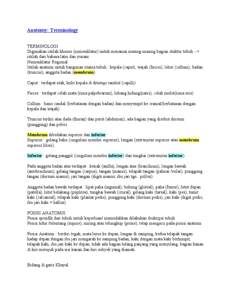 Terminologi Anatomi | PDF